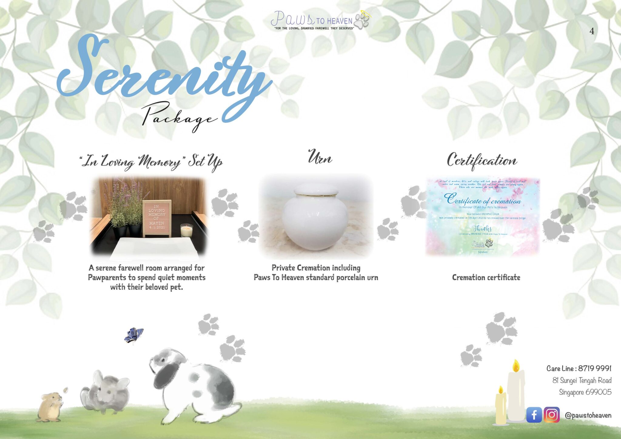 Hamster Cremation Packages – Paws To Heaven